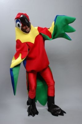 Bird - Amazing Transformations