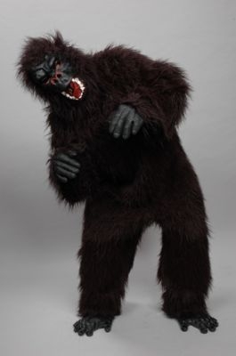 Gorilla - Amazing Transformations
