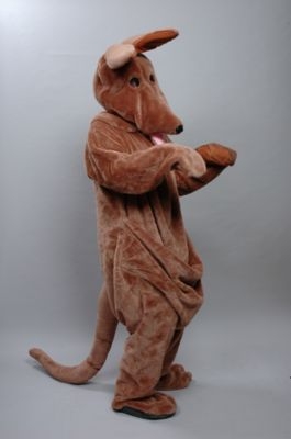 Kangaroo - Amazing Transformations